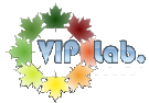 The VIP Research Lab.